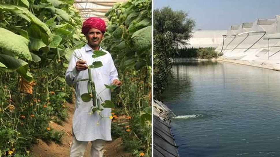 Rajasthan farmer khemaram has over 1 crore turnover from farming | कभी बामुश्किल चलता था इस ...